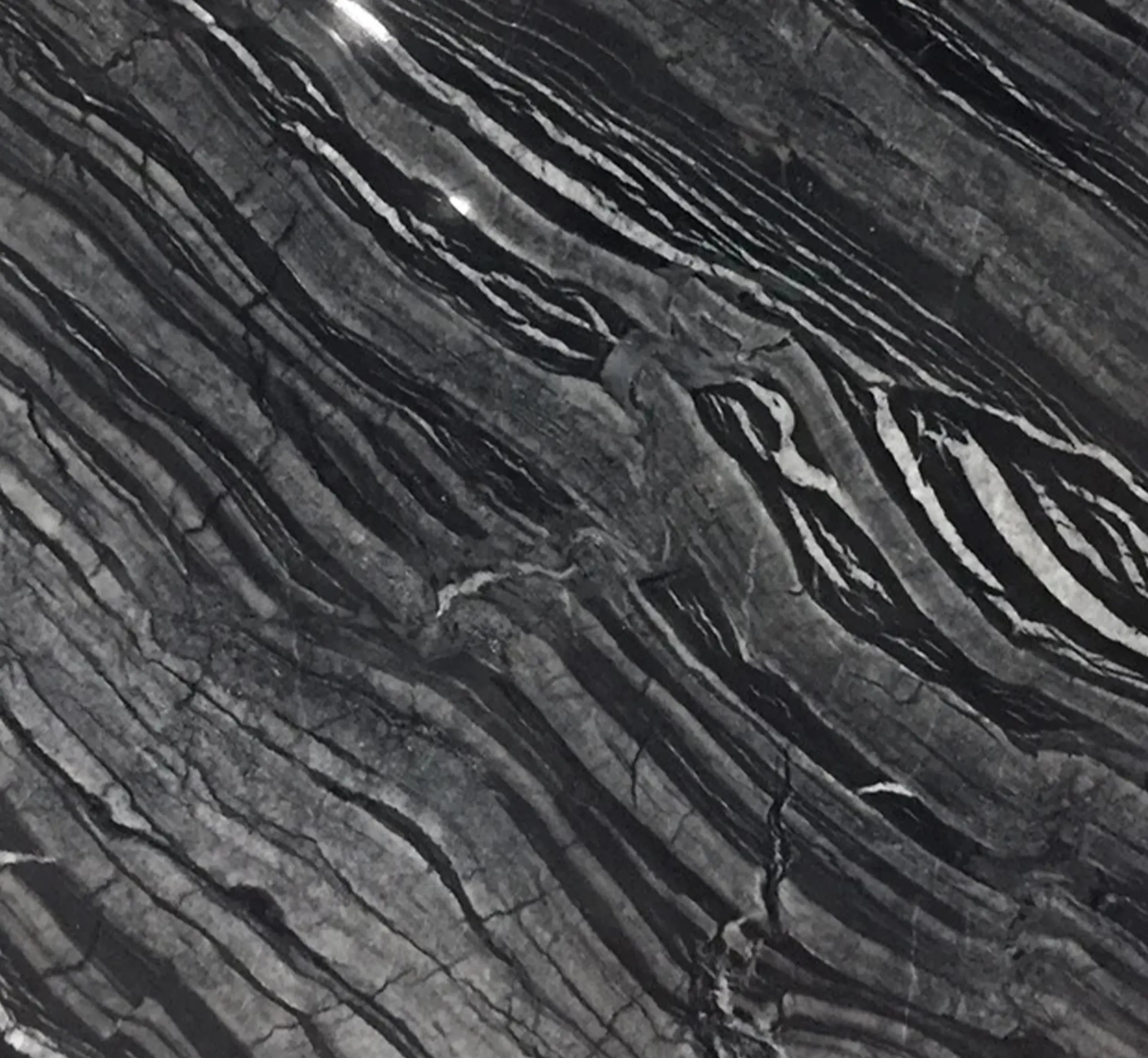 Black Zebra Marble - Total Marbles