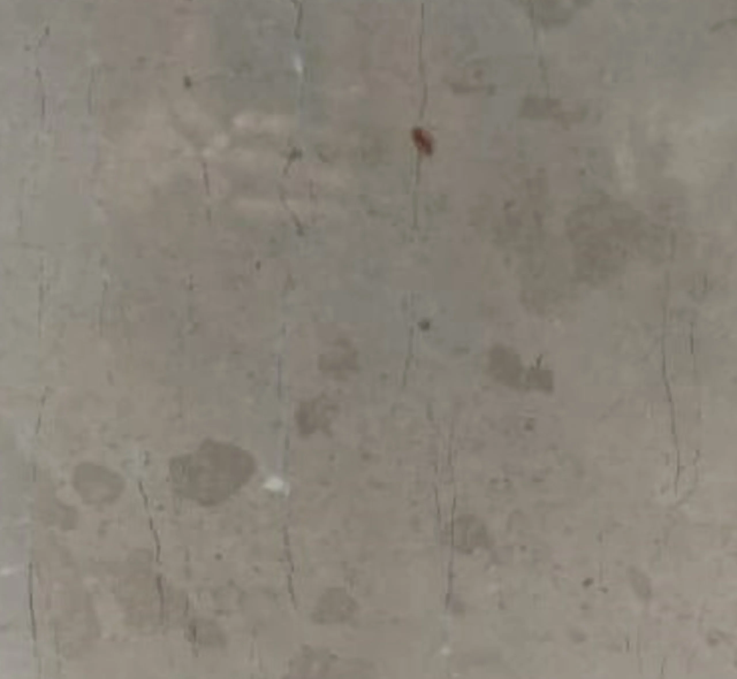 Verona Spot Marble - Total Marbles